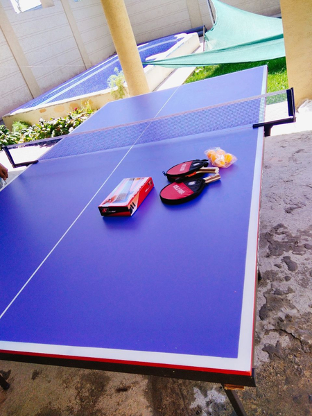 Тенис стол, stol tennis,теннисный стол бесплатная доставка
