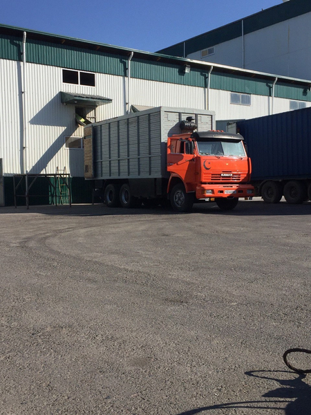 Kamaz sotiladi srochni