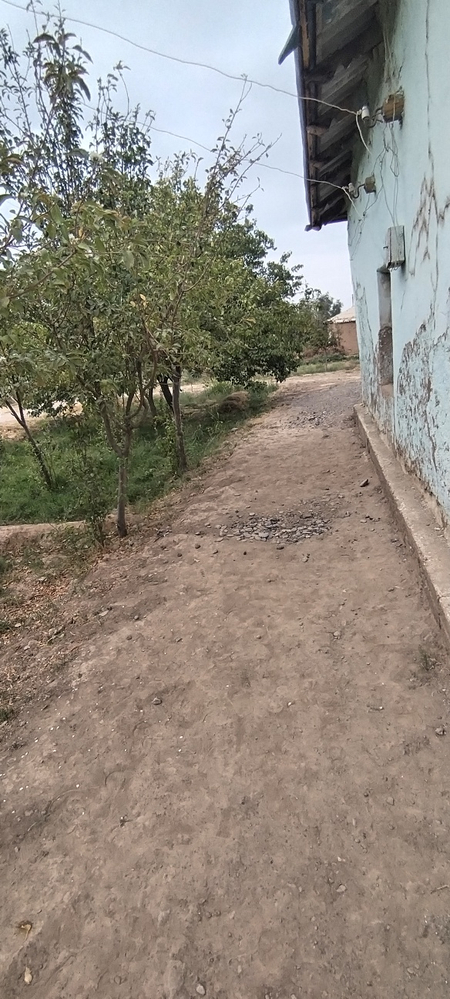 Uydi faqat ozgina yuzi tarafga harajat qilib yashayversa buladi