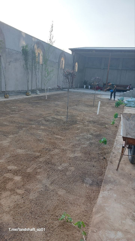 Gazon ekish uruqdan chiqarish kvadirati 25000 dan  yer holatiga qarab.