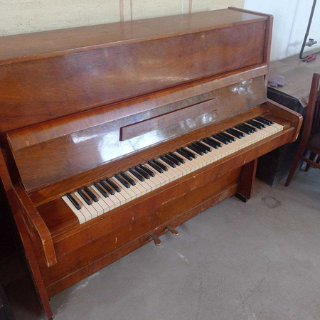 Pianino  Calisia sotiladi