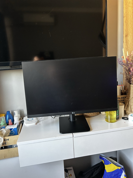 LG 24MP400 ips 75 hz