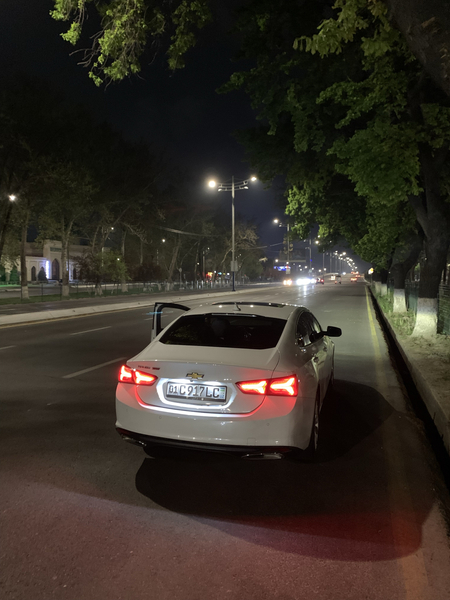 Rent car /avtoprokat