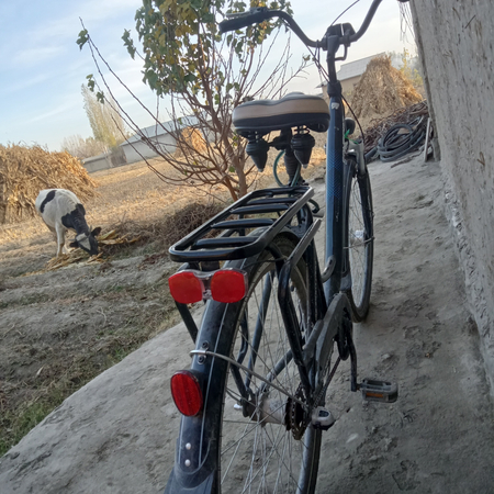 Samarqand arslonbey