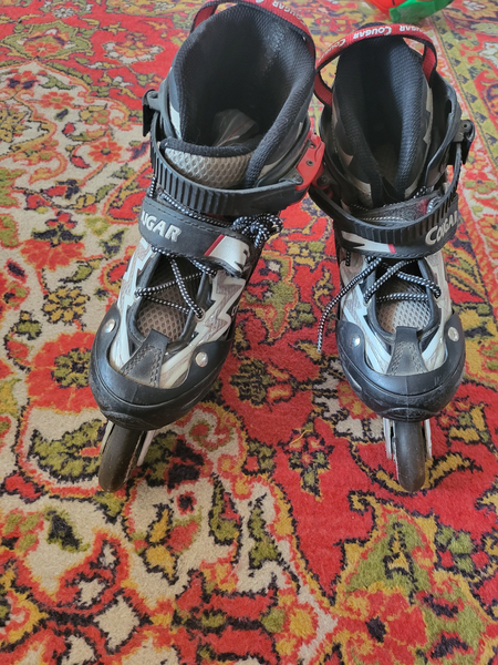 Роликовые конки Cougar, 34-37