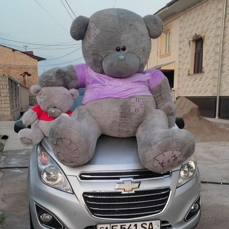 Teddi Teddiy supper skidka Hamma razmer bor