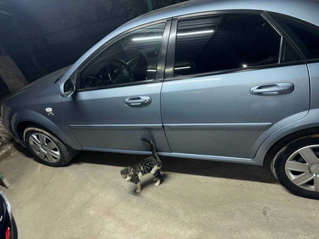 Продам Lacetti 1.8 дельфин , 3 позиция, АВТОМАТ 2010 года, 210к пробег