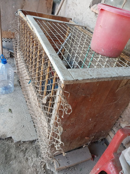 Дрова  продам одна машина