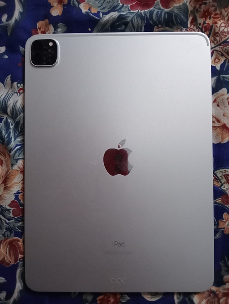iPad Pro M1 256 gb
