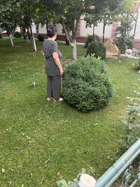 Шамшот сотилади