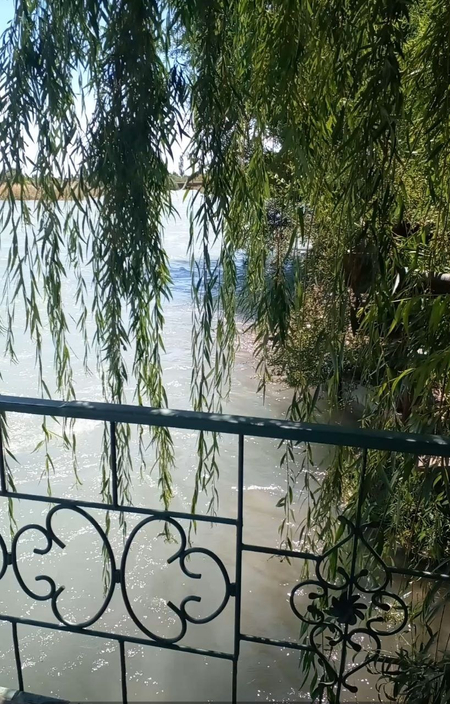 Сдаётся дача посуточно/арендага дача берамиз