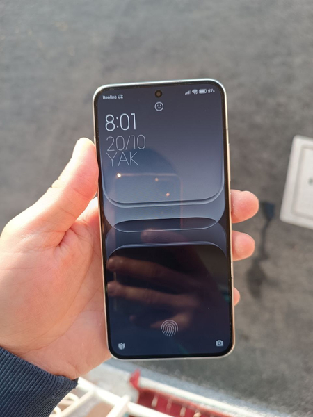 Xiaomi 13. 12/256