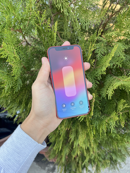 iPhone 12 mini Ideal
