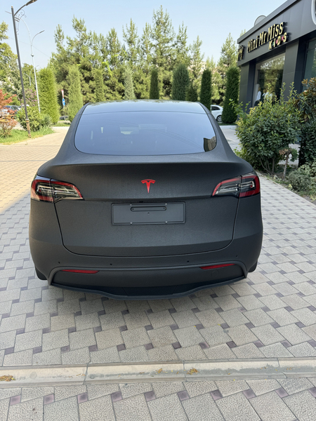 Tesla Modol Y duol motor Long Rej