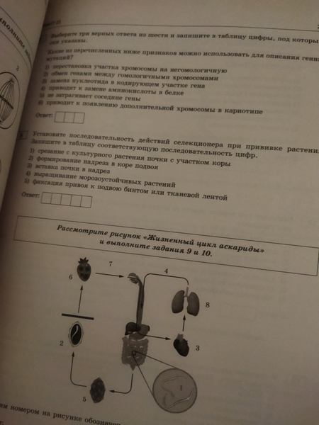 Книга ЕГЭ по биологии 2024