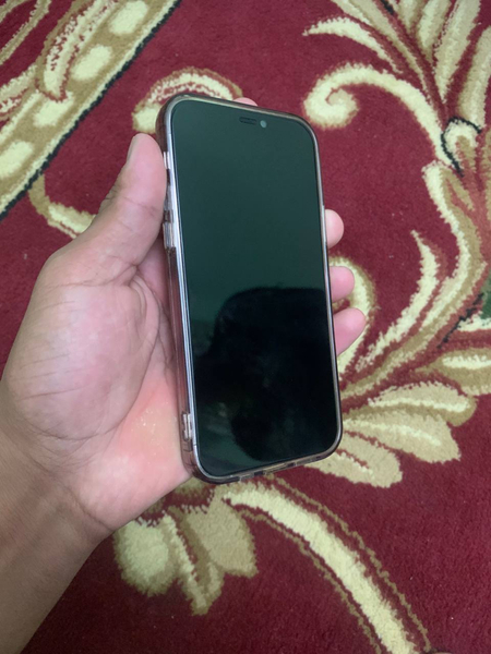 Iphone 12 pro idial