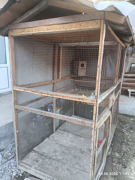 In bor baqvat zor in bitta kraska qivorish kere engide boladi
