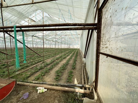 Продается парник 70соток под бизнес земельный участок