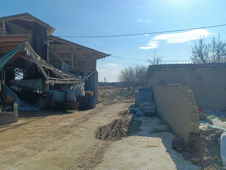 Noturar ferma 30 sotix yangiyul tumani Mihayolvkada 200 ta mol ketadi