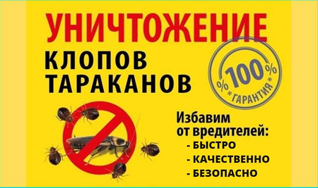 Dezinfeksiya Xizmati 100% Дезинфекция