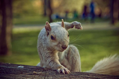Фотошоп быстро качественно изменение фото монтаж отрисовка, дорисовка.