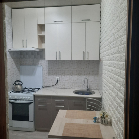 Квартира в Аренду Лисунова 4 Рядом Метро Дворец Авиастроителей 2ком