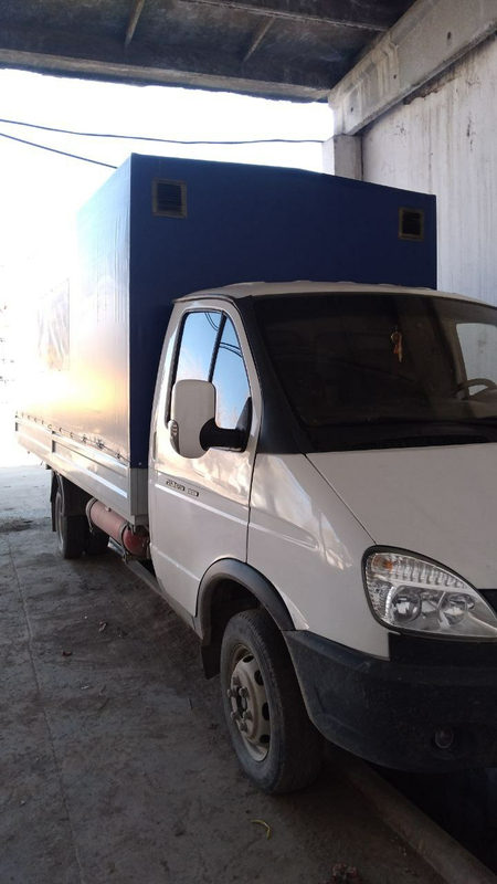Газел в идеальном состояние