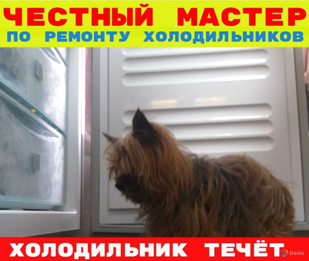 Ремонт холодильников_услуги мастера по ремонту холодильников_выезд