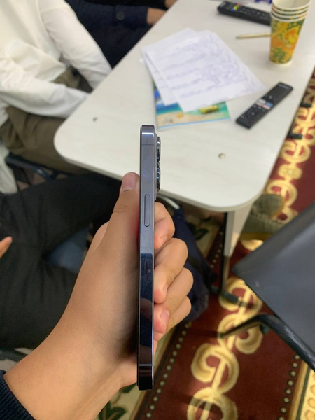iPhone 13 pro hamma joyi radnoy 100%