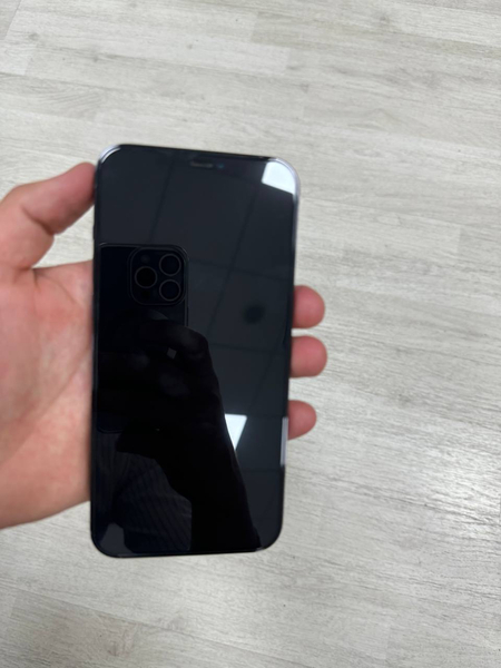 Iphone 12 pro max jp/a 256gb