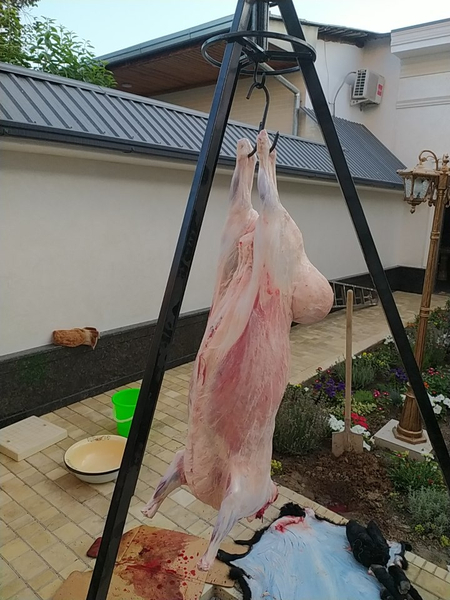 Qassob serviz halol pokiza
