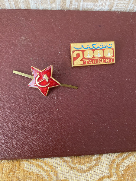 Бюст  металлический Шолохова