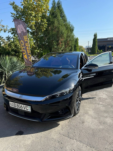 BYD xan 2 dual mator
