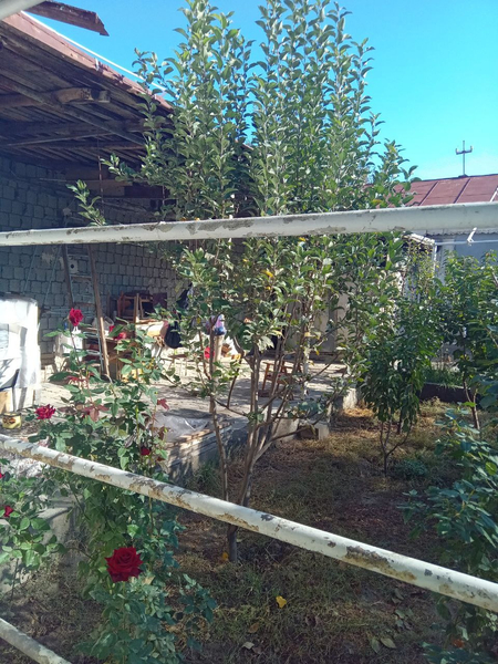 Hovli sotiladi. Uy.