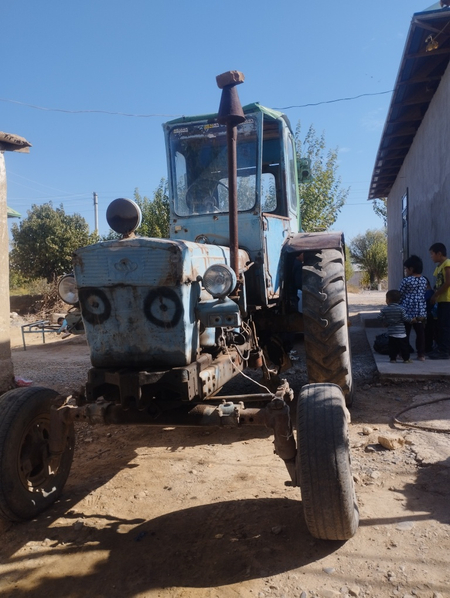 T28 holati alo narhini keliwamiz