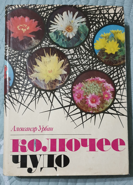 Книга Колючее чудо