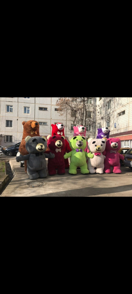 Ayiqlar sotiladi, Yangi ayiqlar, Teddiylar sotaladi