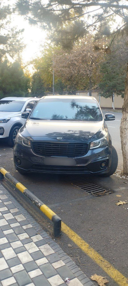 Продаю свою машину Kia Carnival 2019