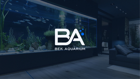 Akvarium xizmatlari - Bek Aquarium youtube