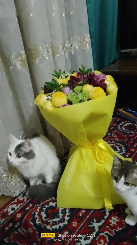 Продайотця котёнок