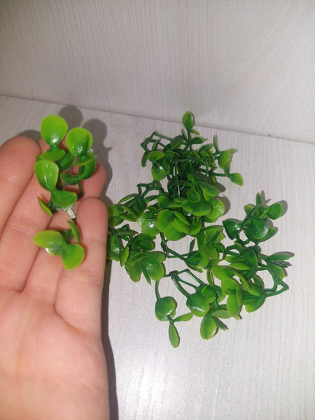 Новогодные веточки и листмки для декора