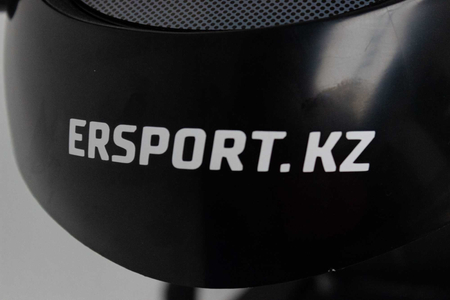 Иппотренажер ERSPORT - Райдер