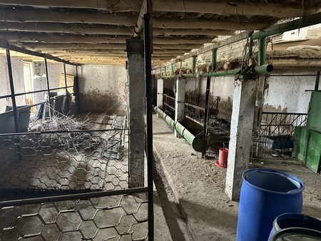 Dacha sotiladi 5+5 sotix
