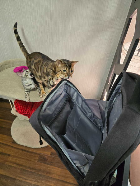 Рюкзак сумка для ноутбука tigernu