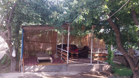 Dacha oq tosh oilavi
