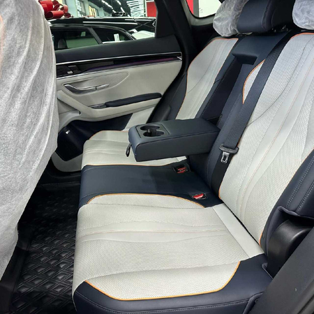 BYD Song Plus Champion 605