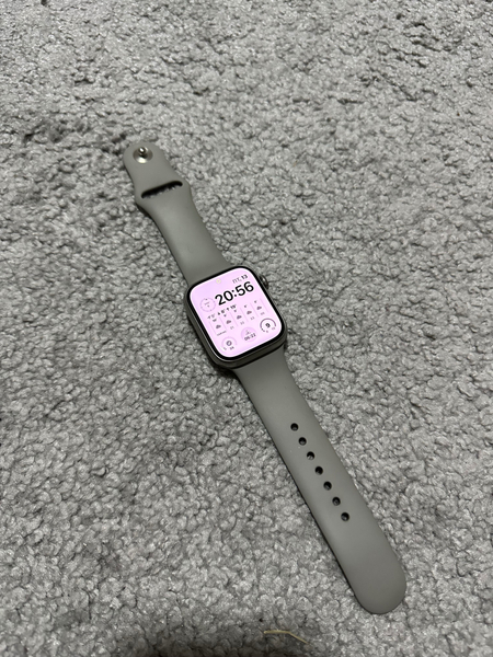 Apple Watch 7. 45 mm Titanium