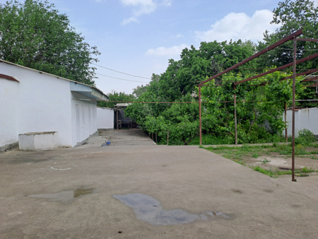 Ulug'bek mahallasida