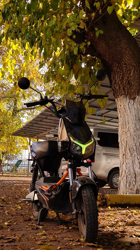 Elektro Skuter Moped