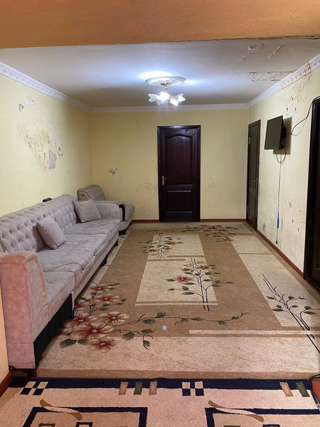 Pradaja cilonzor